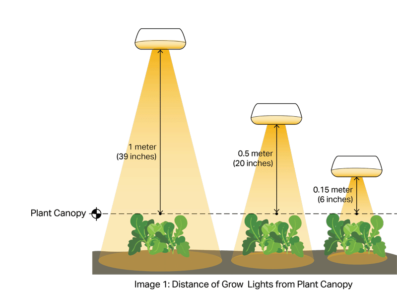 LED Grow Lights Distance for Cannabis & Other Plants - BIOS Grow Lights