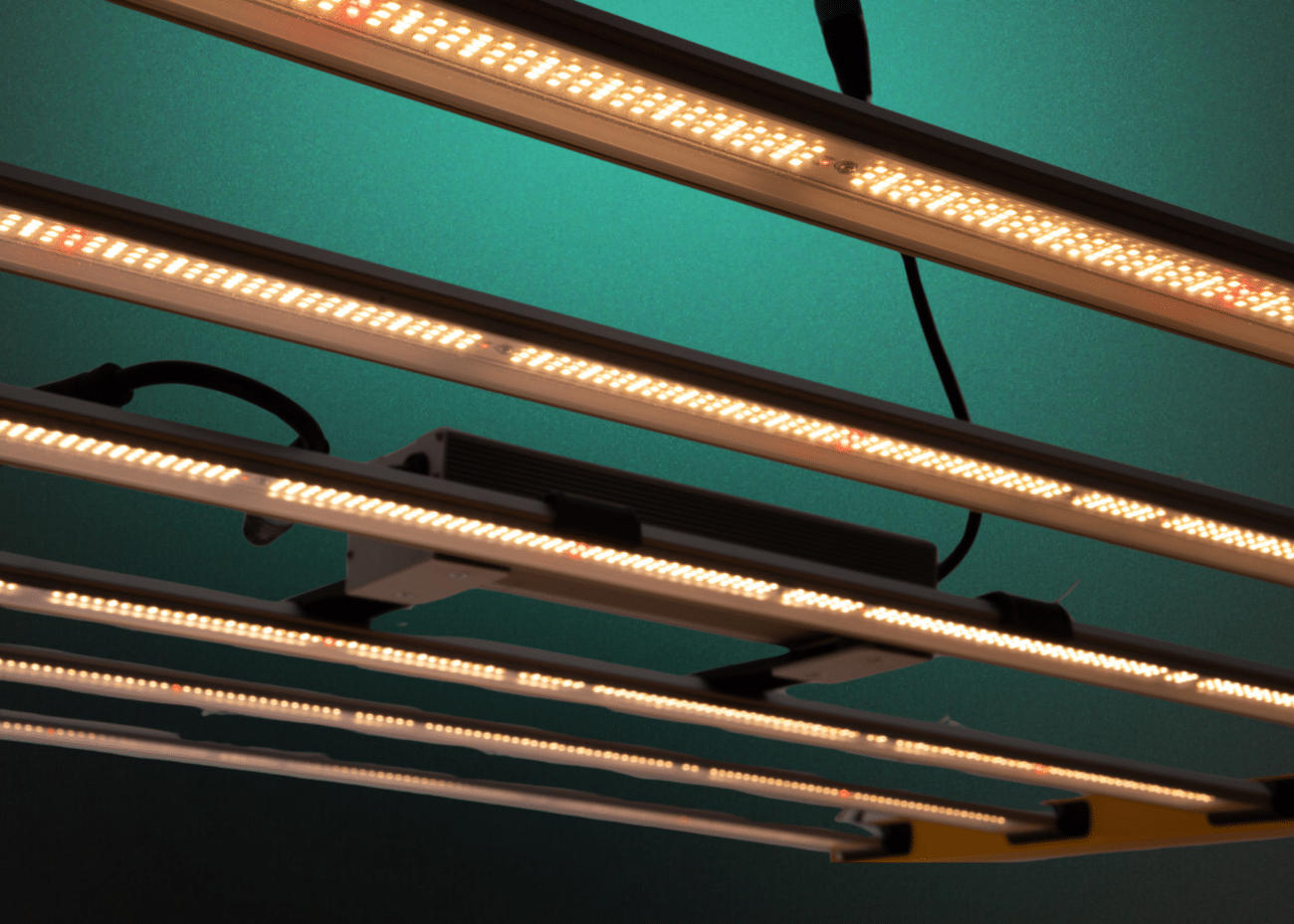 How the BIOS Bridge Fixture Eases the Transition from HPS to LED